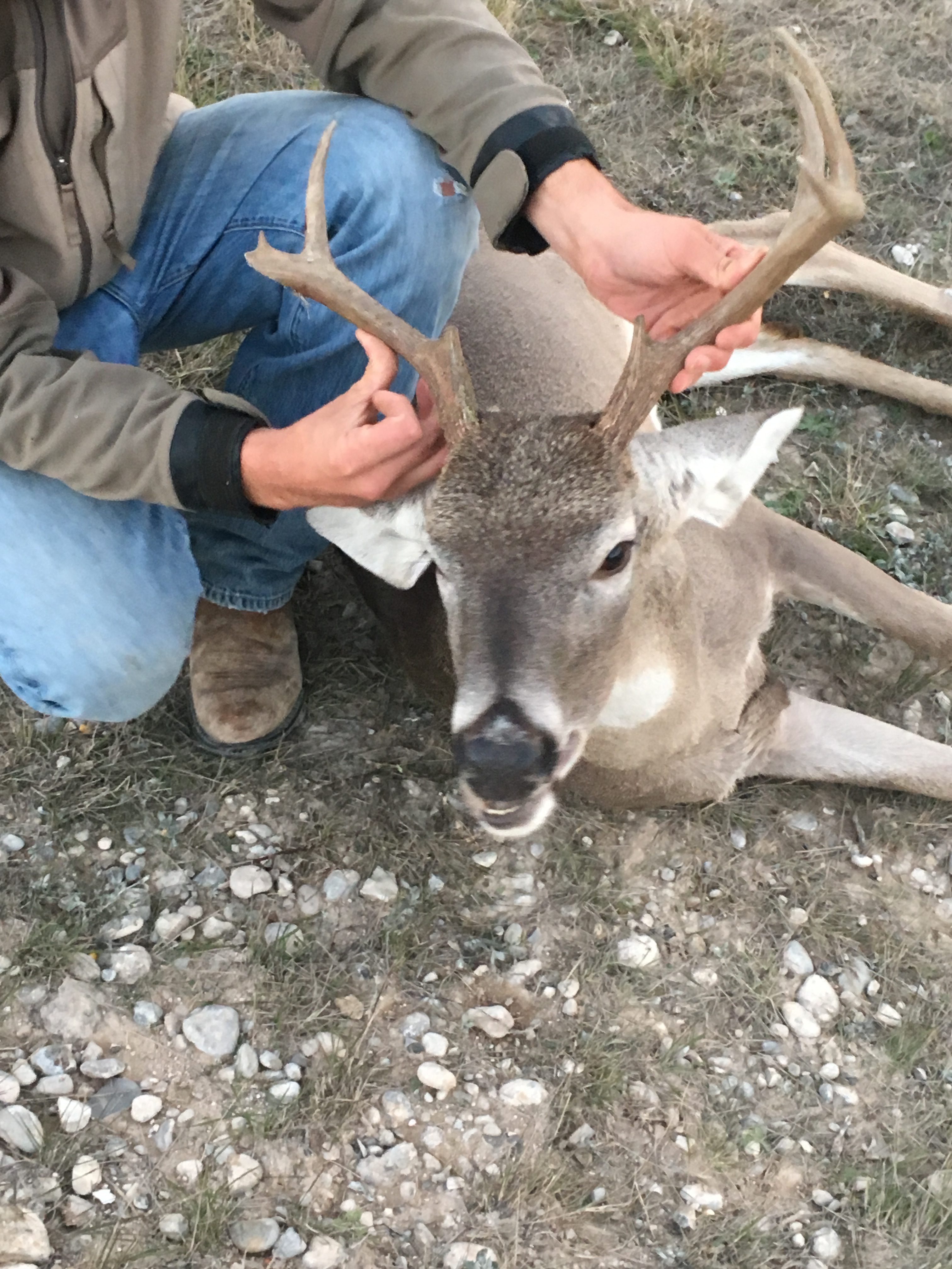 Deer Management Program | Stuart Ranches Mexico Hunting